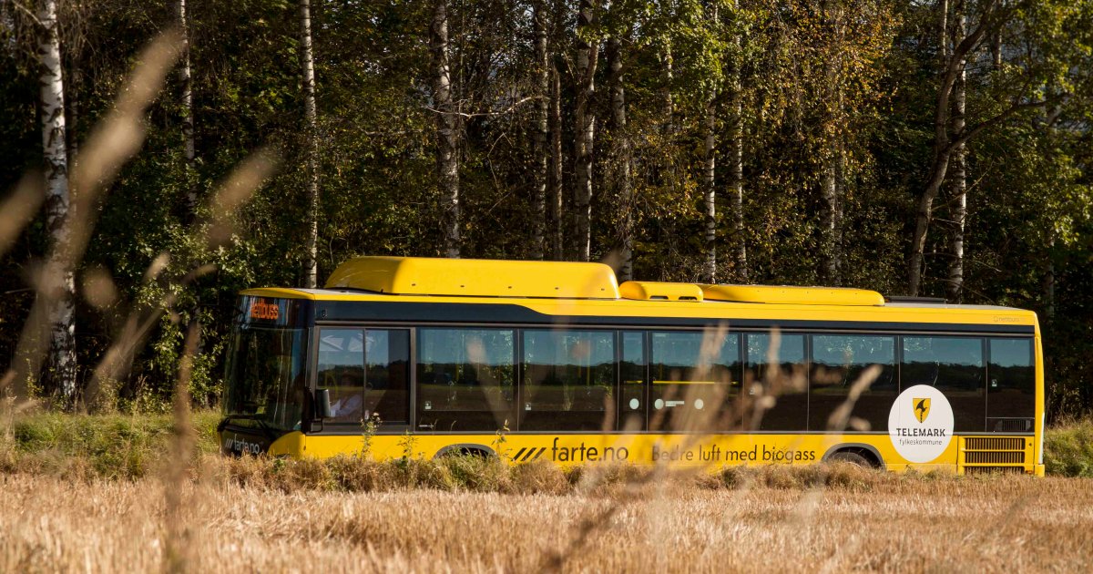 Ta buss til kamp! / Odd